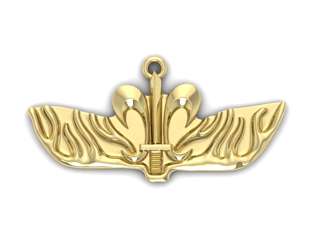 תליון זהב 14K סיכת לוחם ''אגוז'' | תליונים